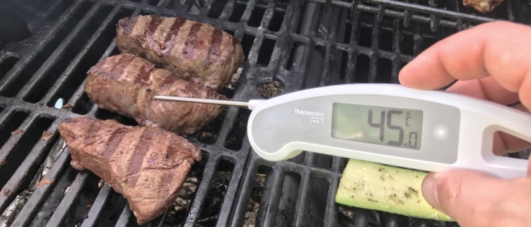 Measuring the core temperature – TFA Dostmann