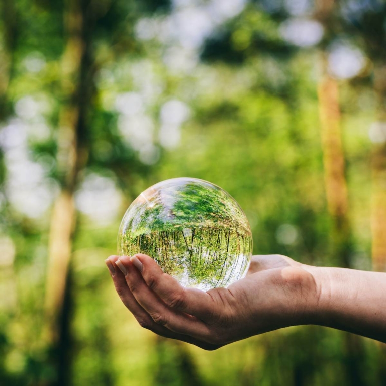 Seven Sleepers’ Day 2025 | TFA Dostmann